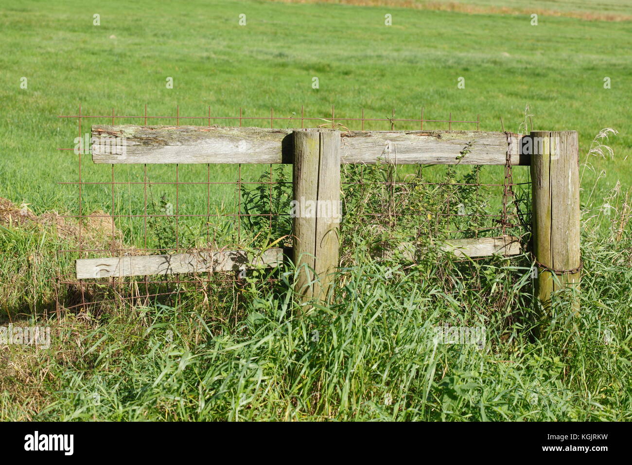 Meadow fence hi-res stock photography and images - Alamy