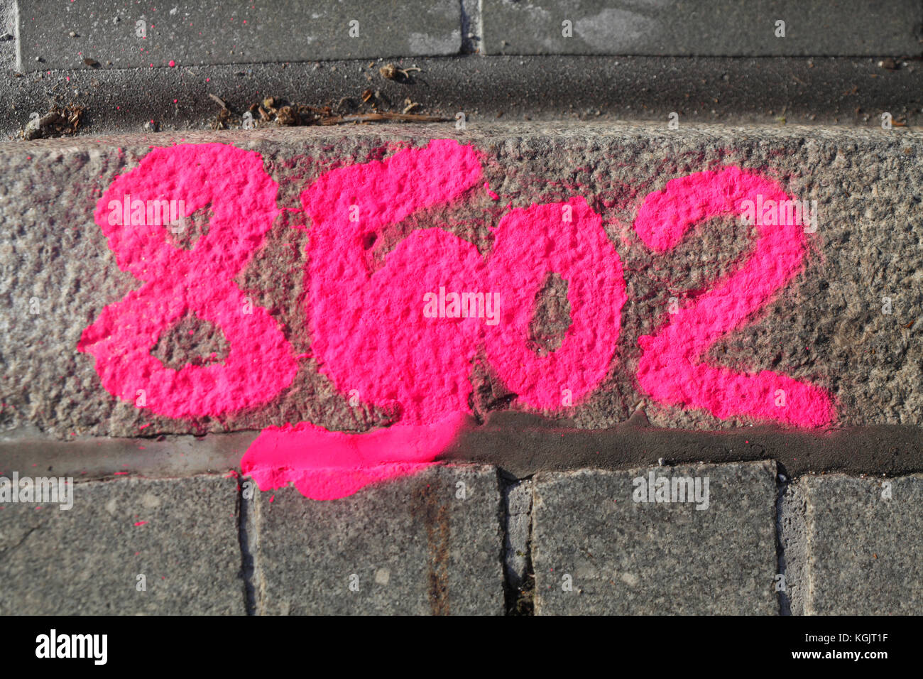 pink colored ground mark, numbers Stock Photo - Alamy