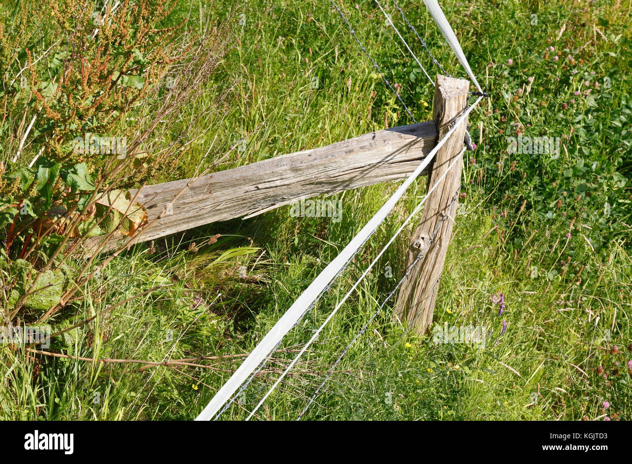 wooden pasture fence Stock Photo - Alamy