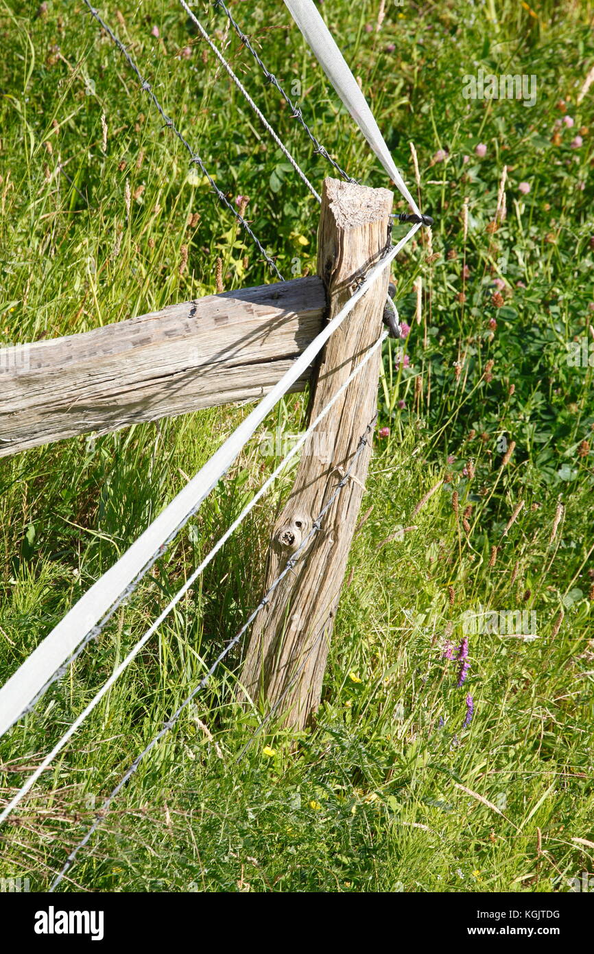 wooden pasture fence Stock Photo - Alamy