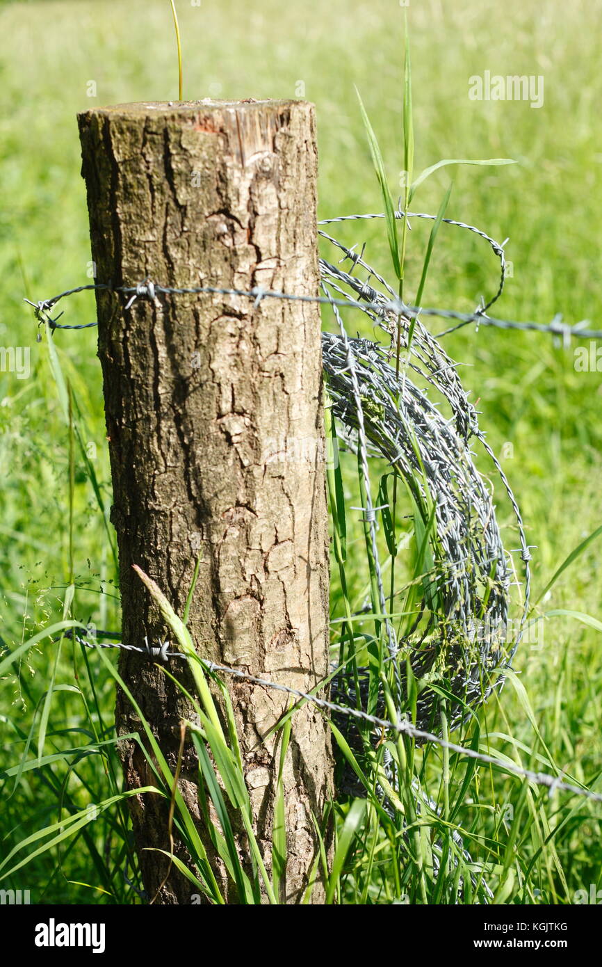 wooden fence post, rolled up barbed wire Stock Photo - Alamy