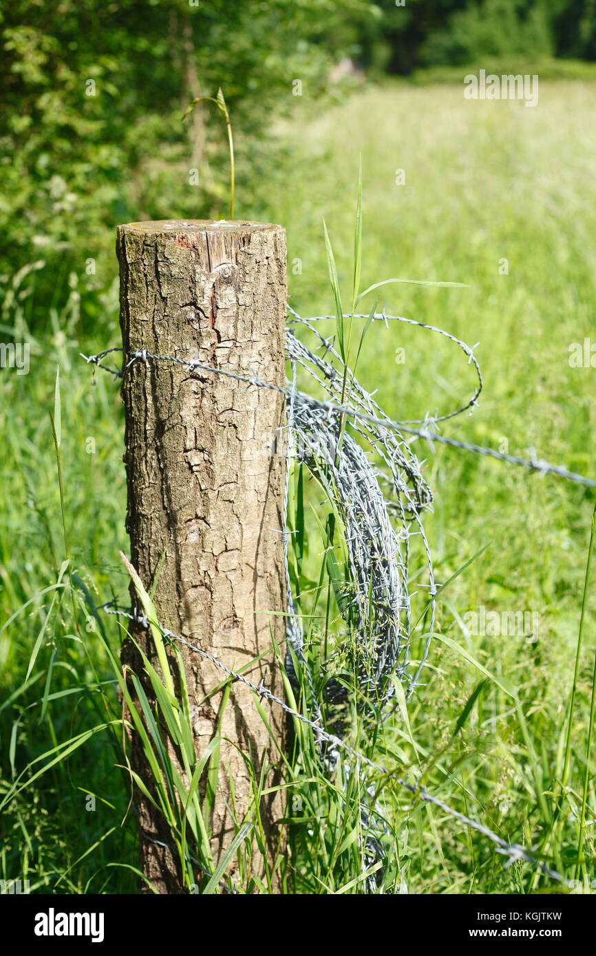 wooden fence post, rolled up barbed wire Stock Photo - Alamy