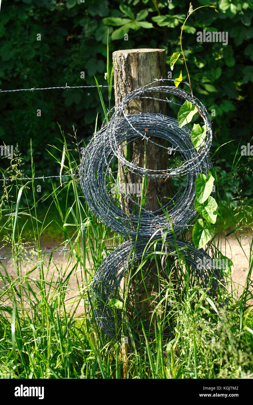 More rolled up hi-res stock photography and images - Alamy