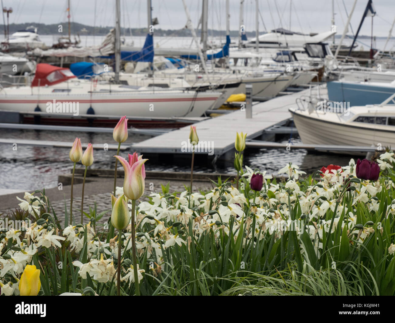 kristiansand in norway Stock Photo - Alamy