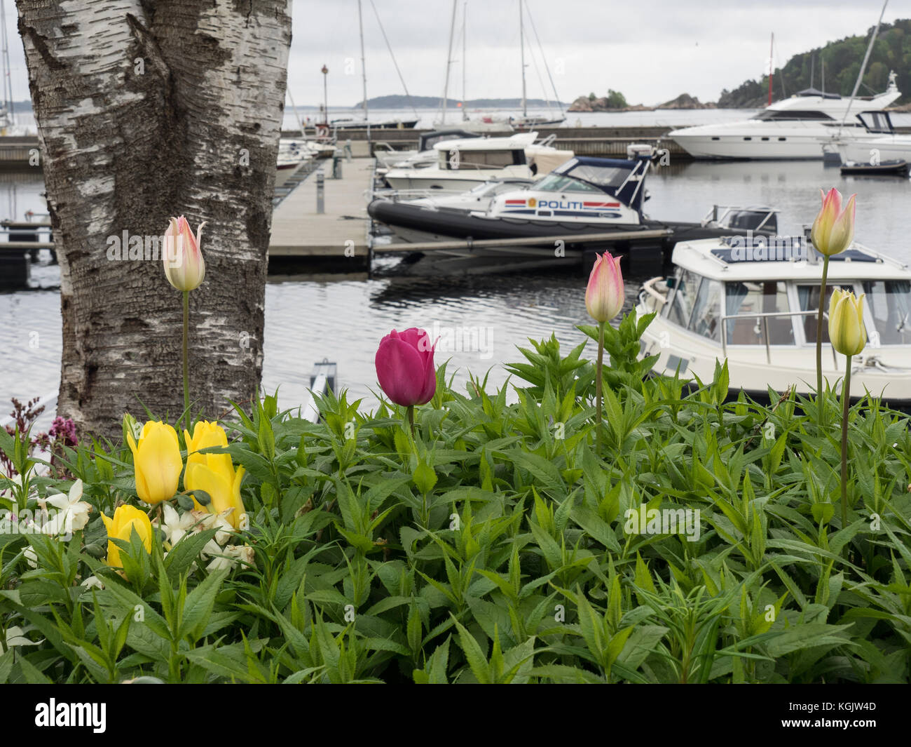 kristiansand in norway Stock Photo - Alamy