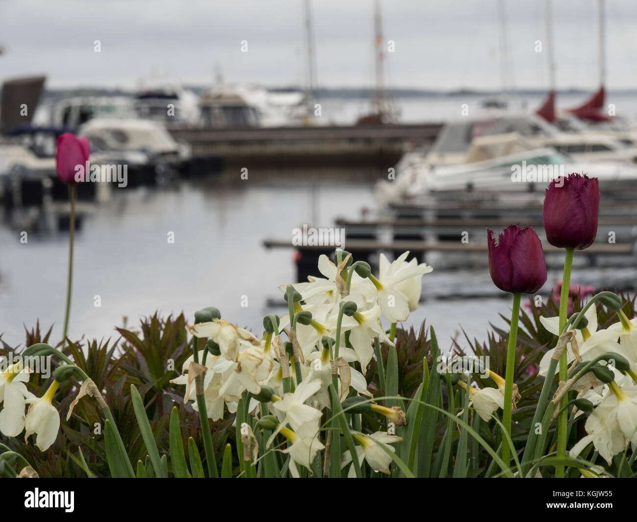kristiansand in norway Stock Photo - Alamy