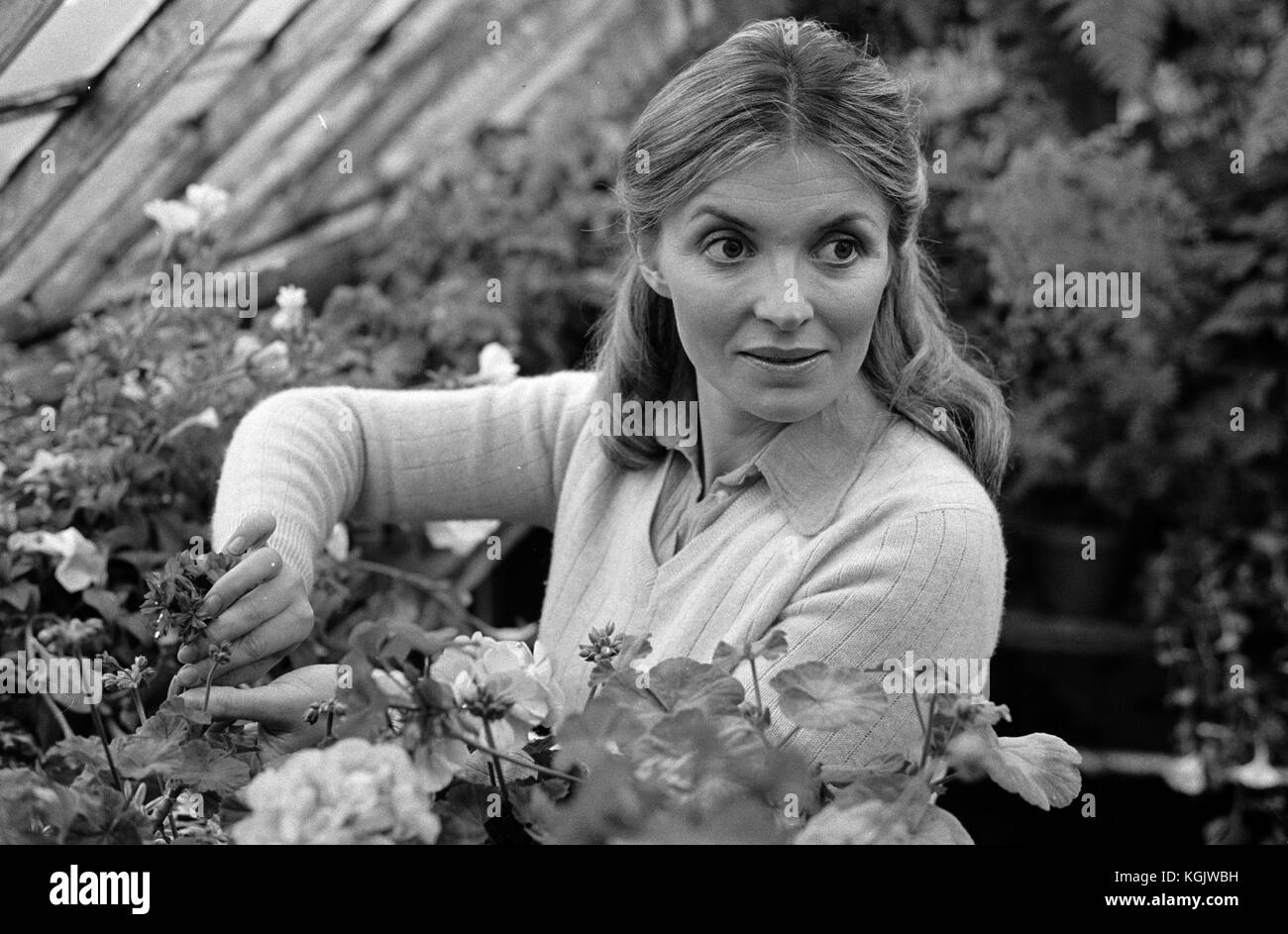 Hannah gordon hi-res stock photography and images - Alamy