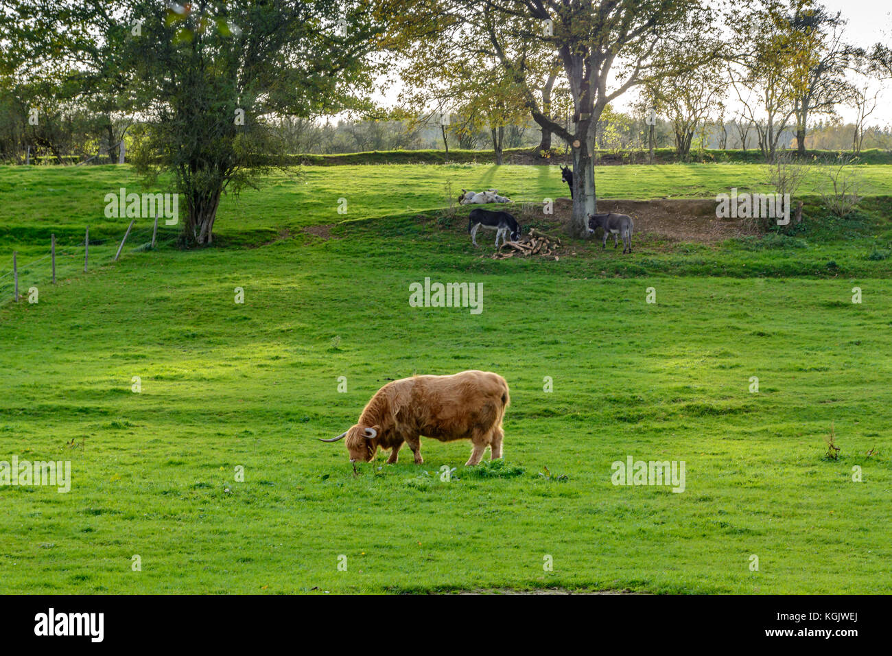 Marcourt hi-res stock photography and images - Alamy