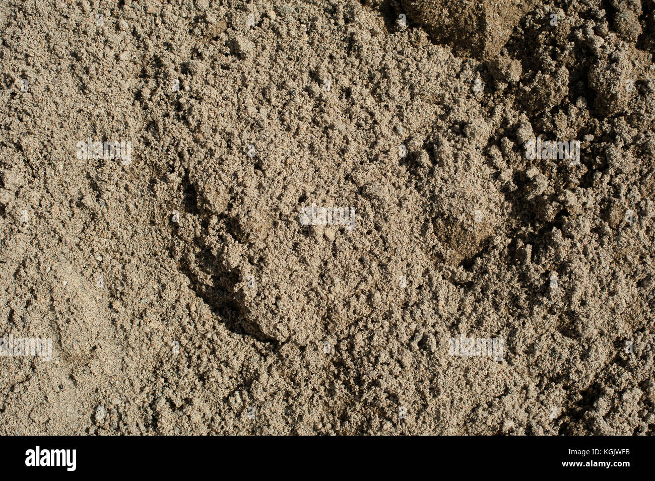 Small and big sand, gravel and pebbles background pattern. Full frame ...