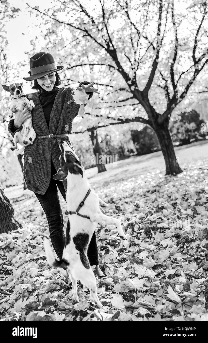 Happy young woman playing with dogs outdoors in autumn Stock Photo - Alamy
