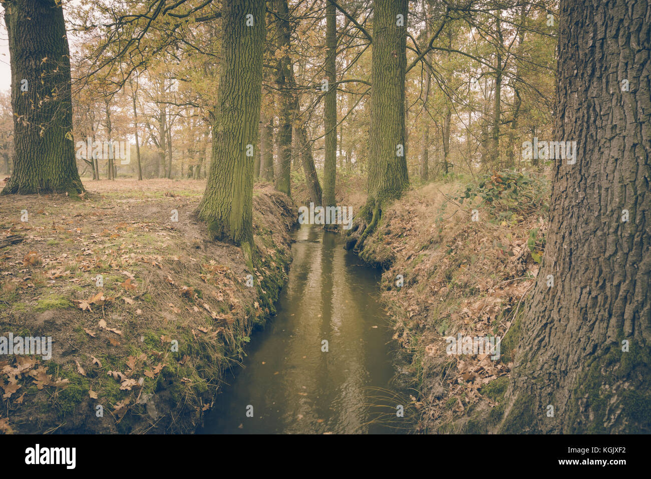 Horizontal vintage retro photo of small brook captured in cold autumn ...