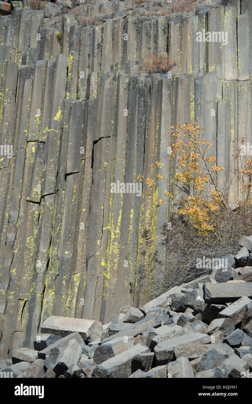 Devils Postpile, Basalt, Basalt Columns, National Monument, Mammoth ...