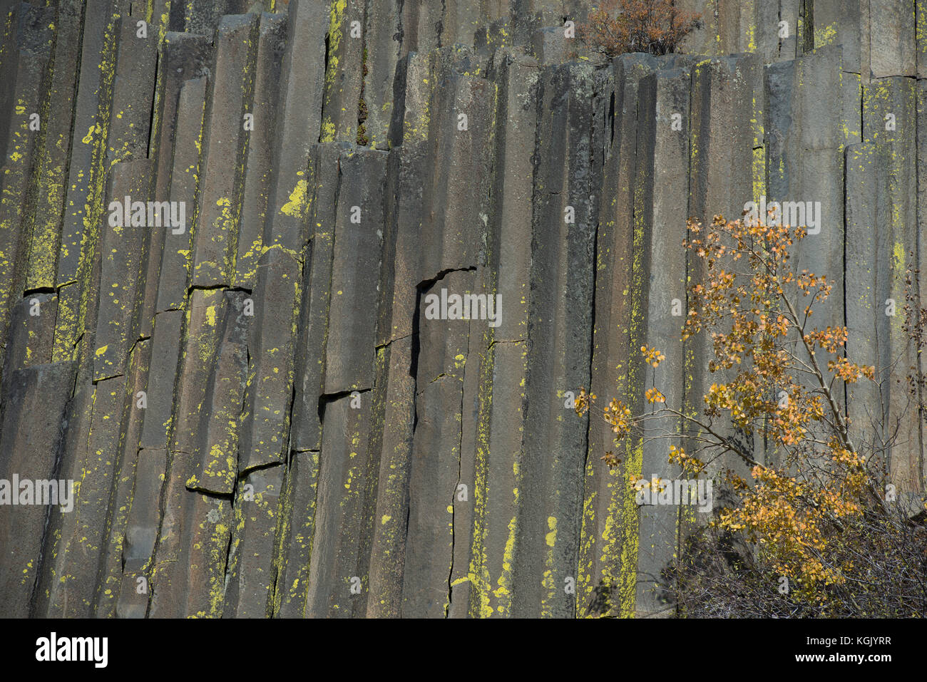 Mammoth mountain lakes basin hi-res stock photography and images - Alamy