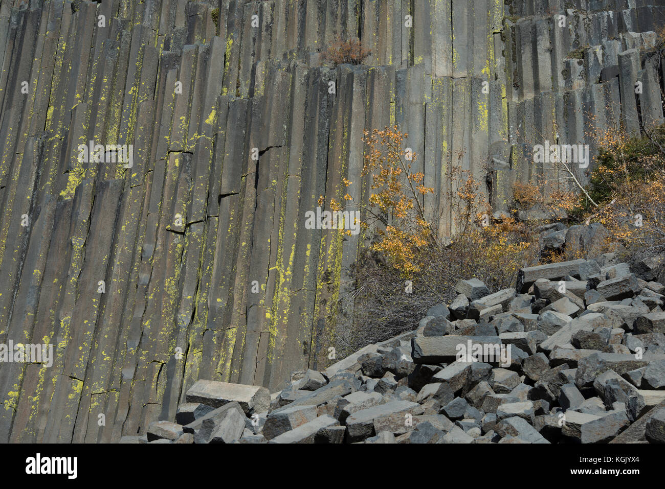 Devils Postpile, Basalt, Basalt Columns, National Monument, Mammoth ...