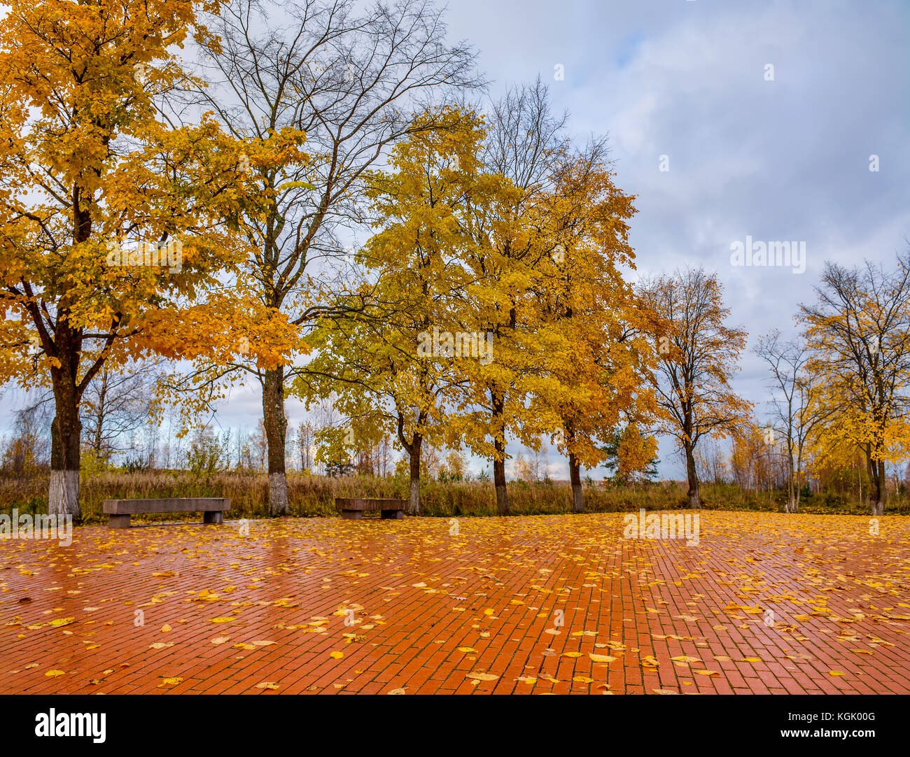 Windy autumn day. Alley leading to the river Stock Photo - Alamy