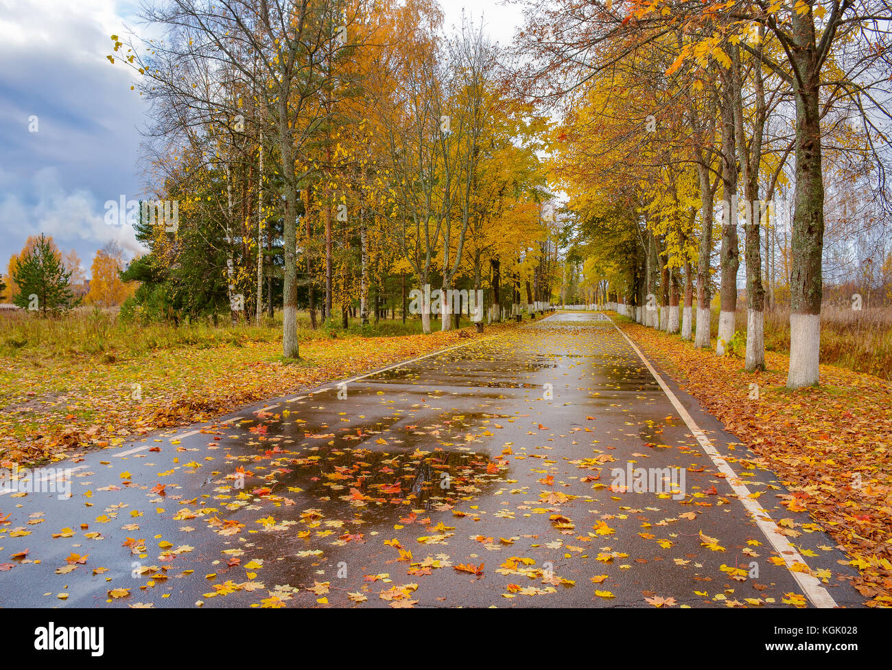 Windy autumn day. Alley leading to the river Stock Photo - Alamy