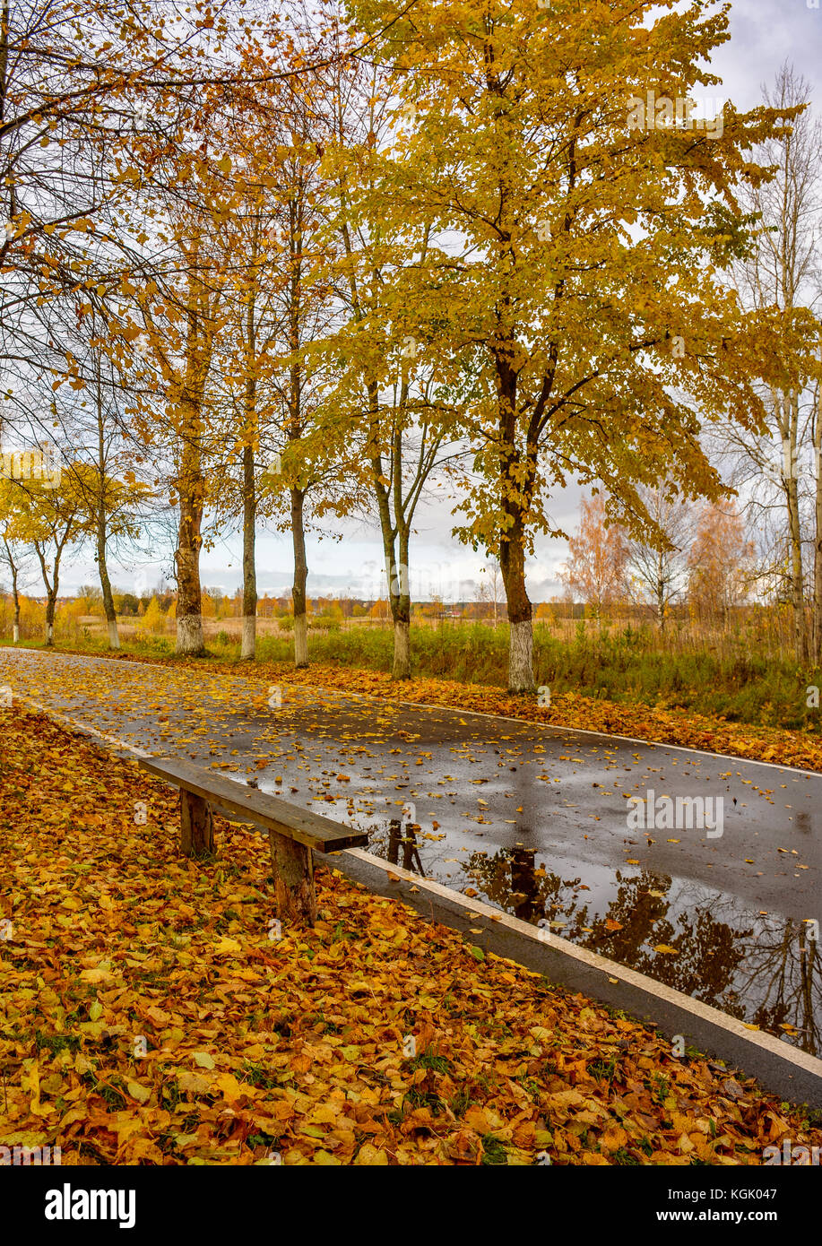 Windy autumn day. Alley leading to the river Stock Photo - Alamy