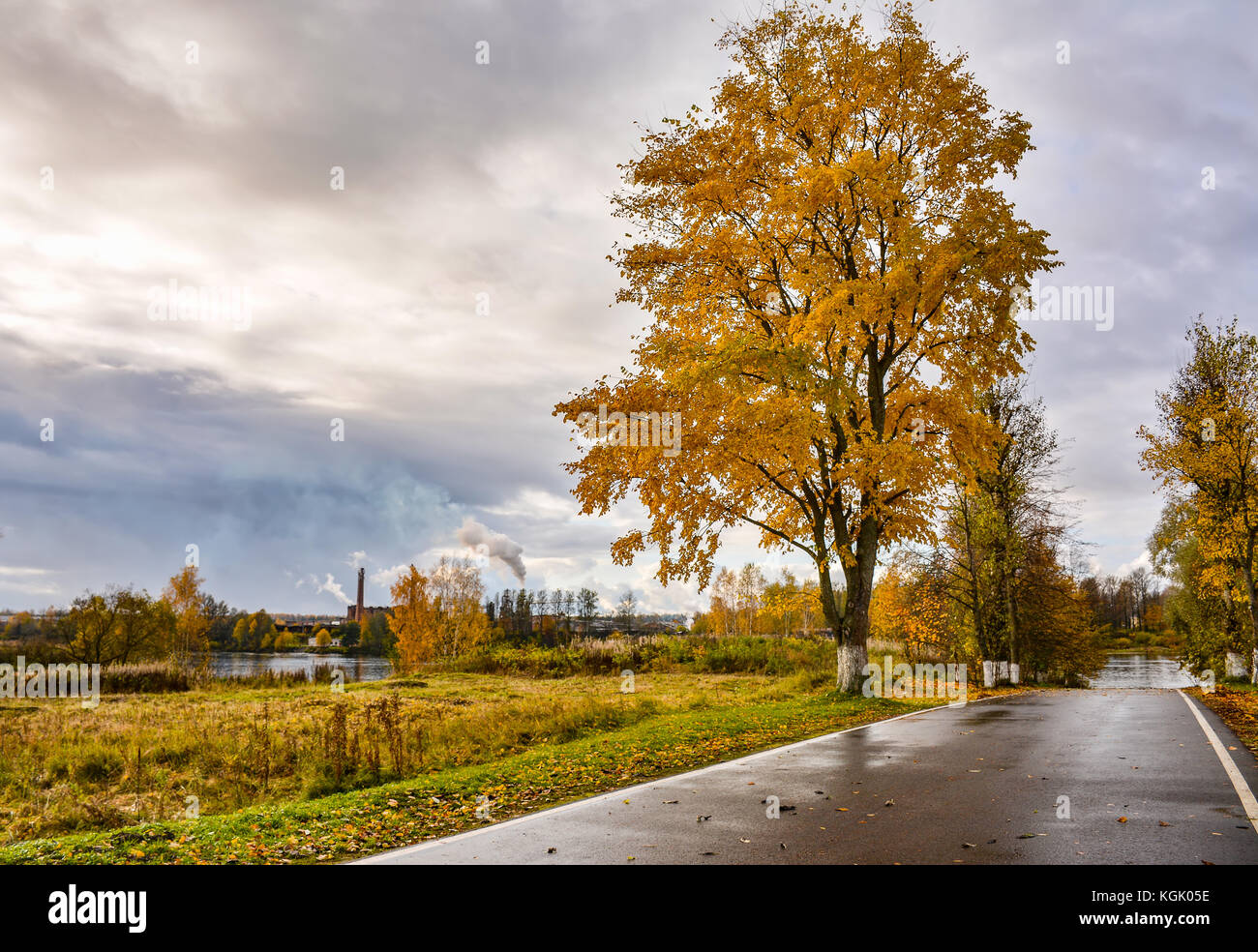 Windy autumn day. Alley leading to the river Stock Photo - Alamy