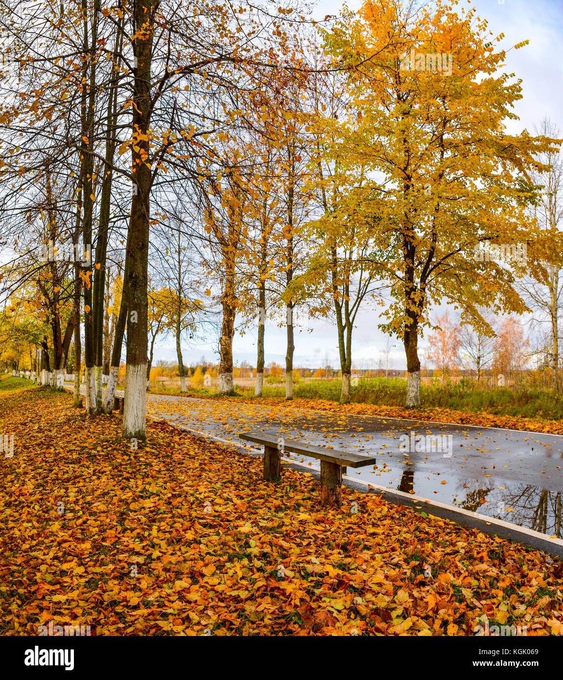 Windy autumn day. Alley leading to the river Stock Photo - Alamy