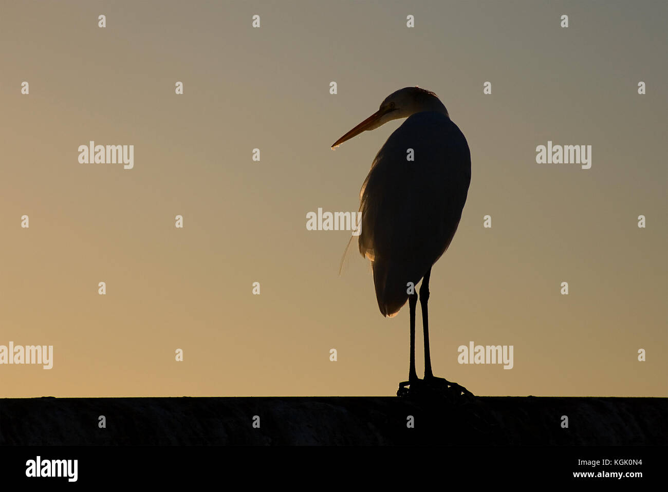 Mr crane hi-res stock photography and images - Alamy