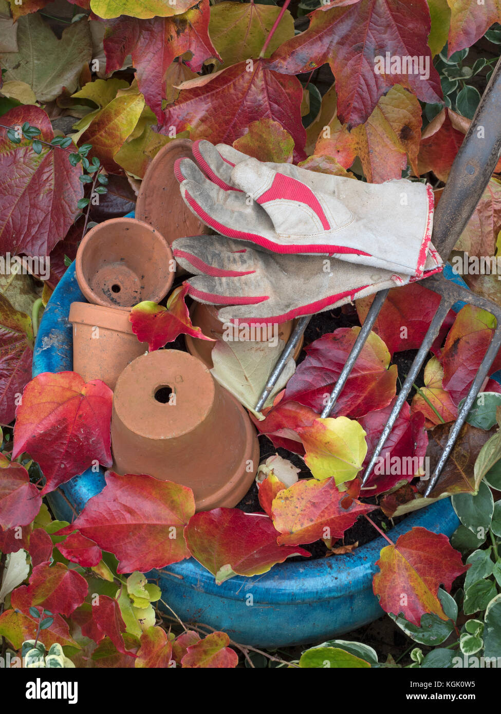 Tera cotta flower pots,garden fork and fallen leaves of Virginia ...