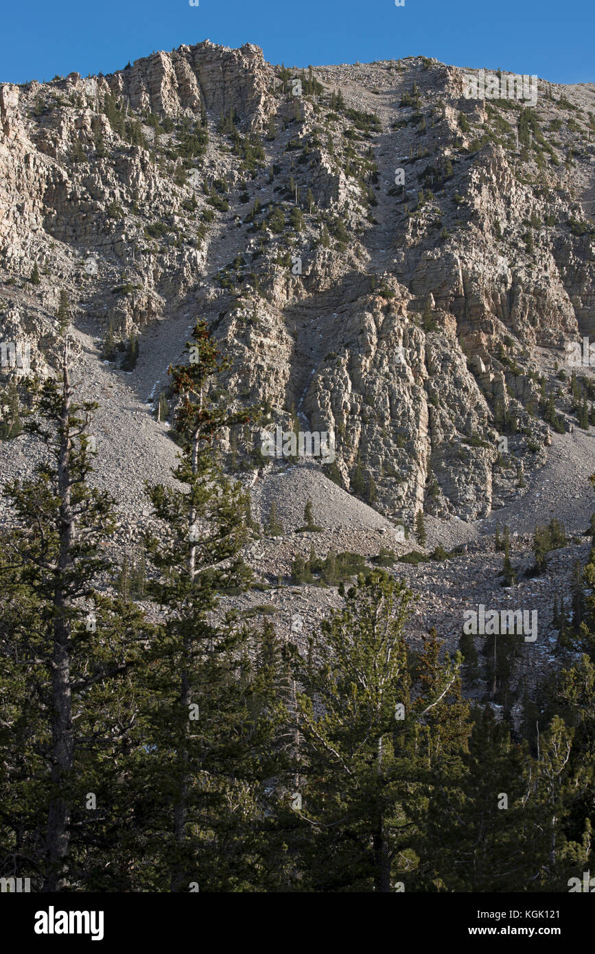 Wheeler Peak, Great Basin National Park, Baker, Nevada, USA Stock Photo ...