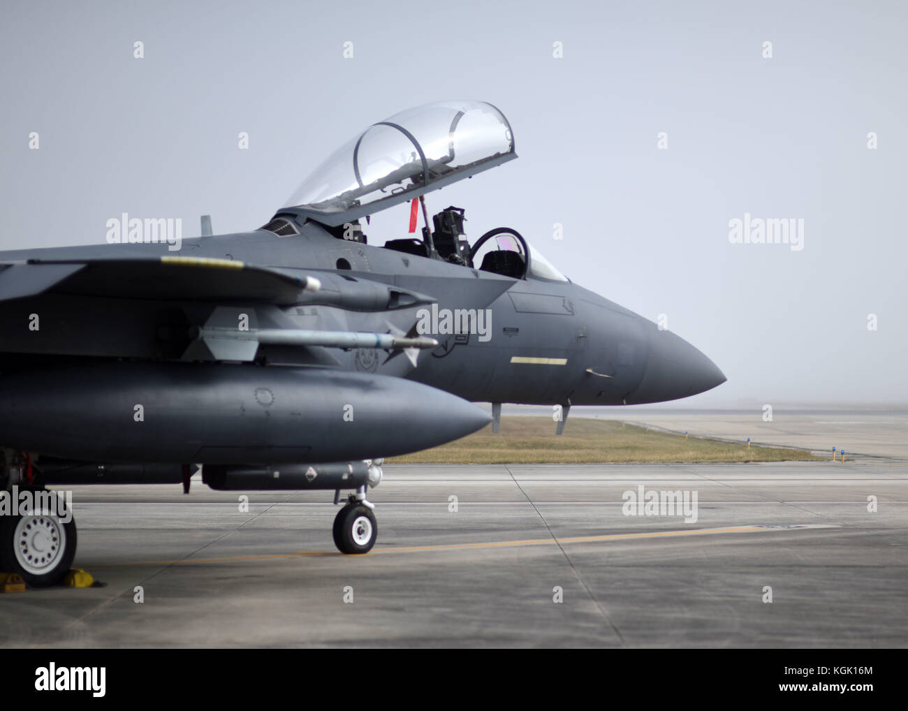 A U.S. Air Force F-15E Strike Eagle from the 389th Fighter Squadron ...