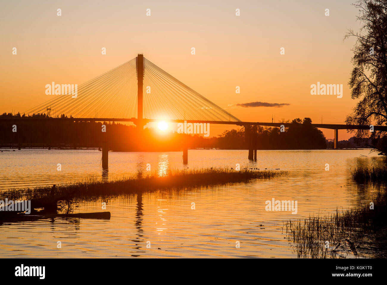 Port Mann Bridge over the Fraser River at sunset, Port Coquitlam ...