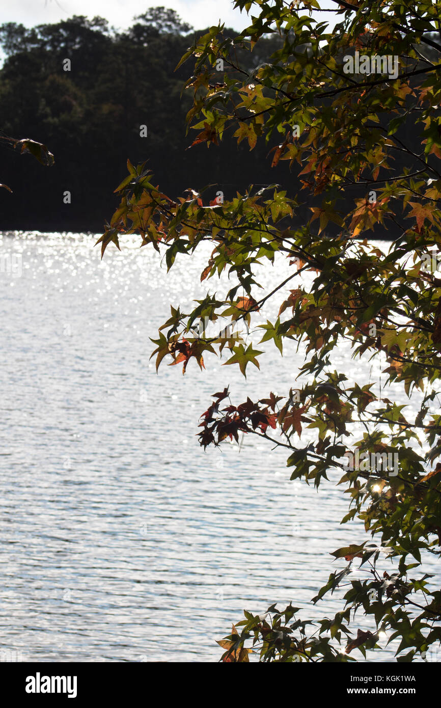 Open bodies of water hi-res stock photography and images - Alamy