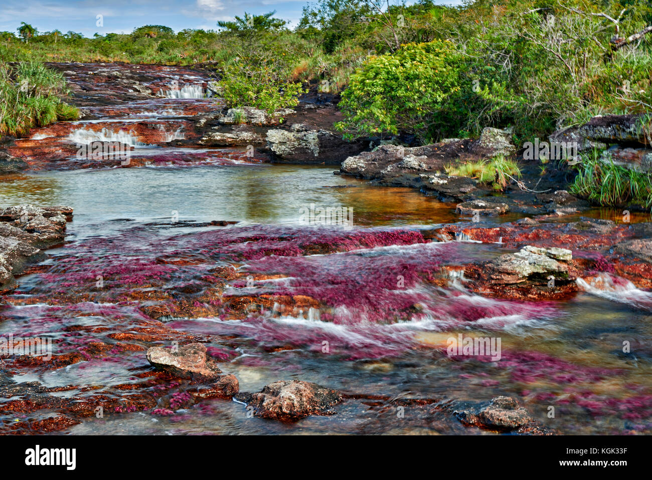 Cano Cristalitos near Cano Cristales called the "River of Five Colors ...