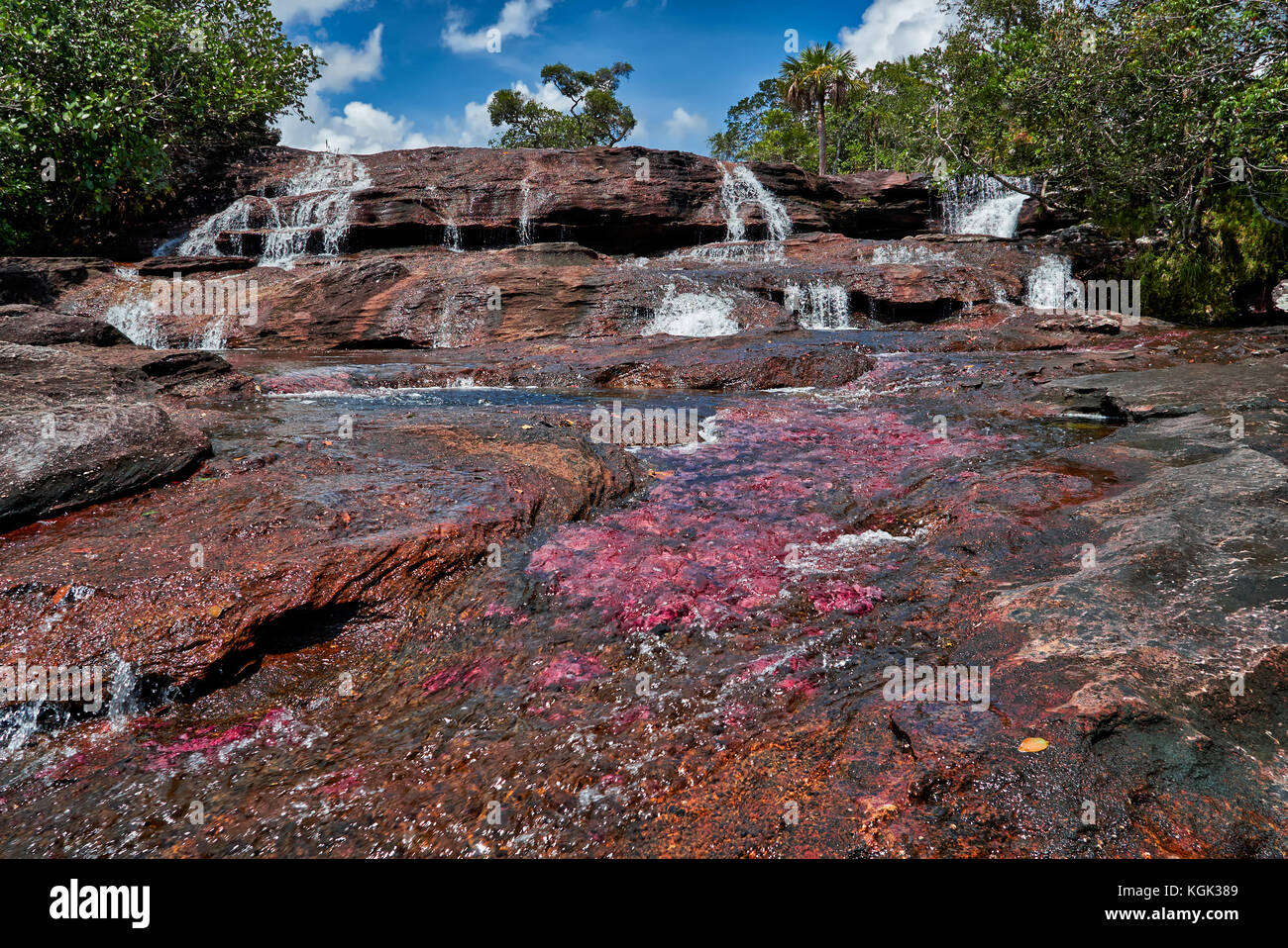 a waterfall at Cano Cristales called the "River of Five Colors" or the ...