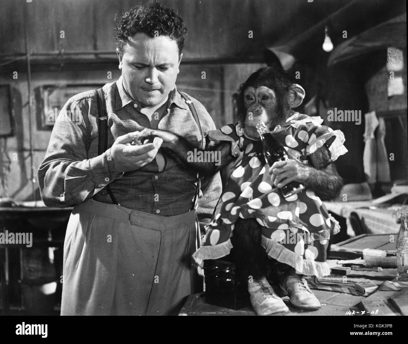 Davy (1958) , Harry Secombe Stock Photo - Alamy