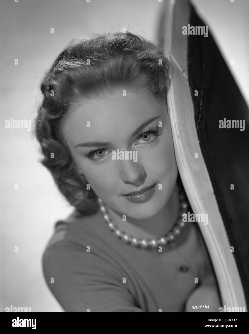 Susan Shaw Stock Photos & Susan Shaw Stock Images - Alamy