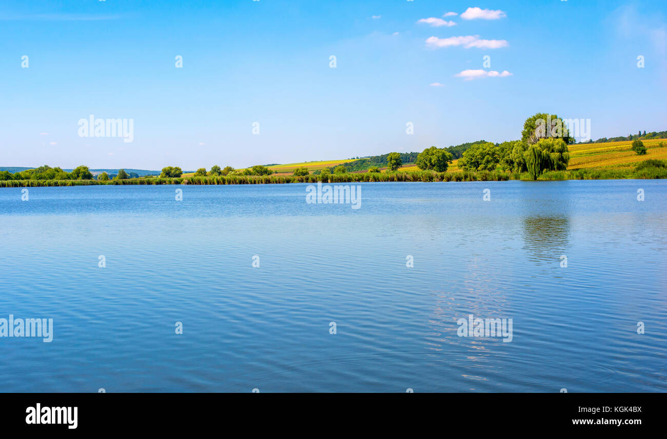 Photo of nature around beautiful blue lake at summer Stock Photo - Alamy