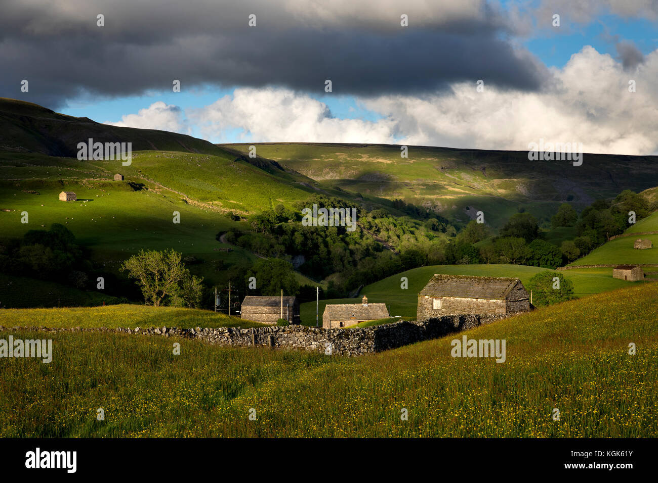 Swaledale Barns High Resolution Stock Photography and Images - Alamy