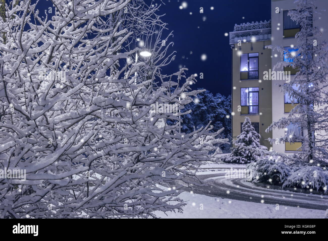 Christmas night. Nature and architecture background Stock Photo - Alamy