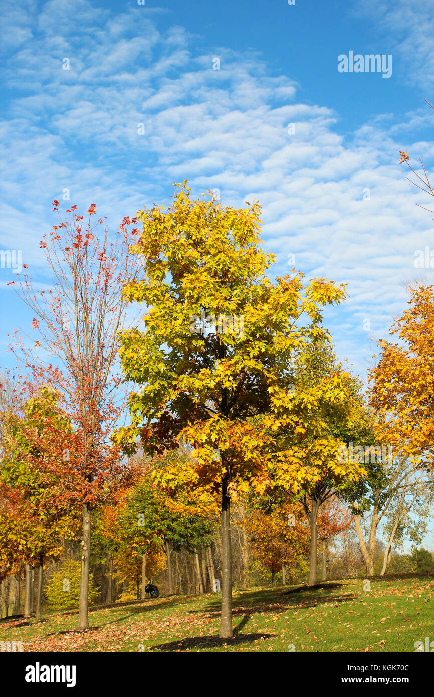 Midwestern scenery hi-res stock photography and images - Alamy