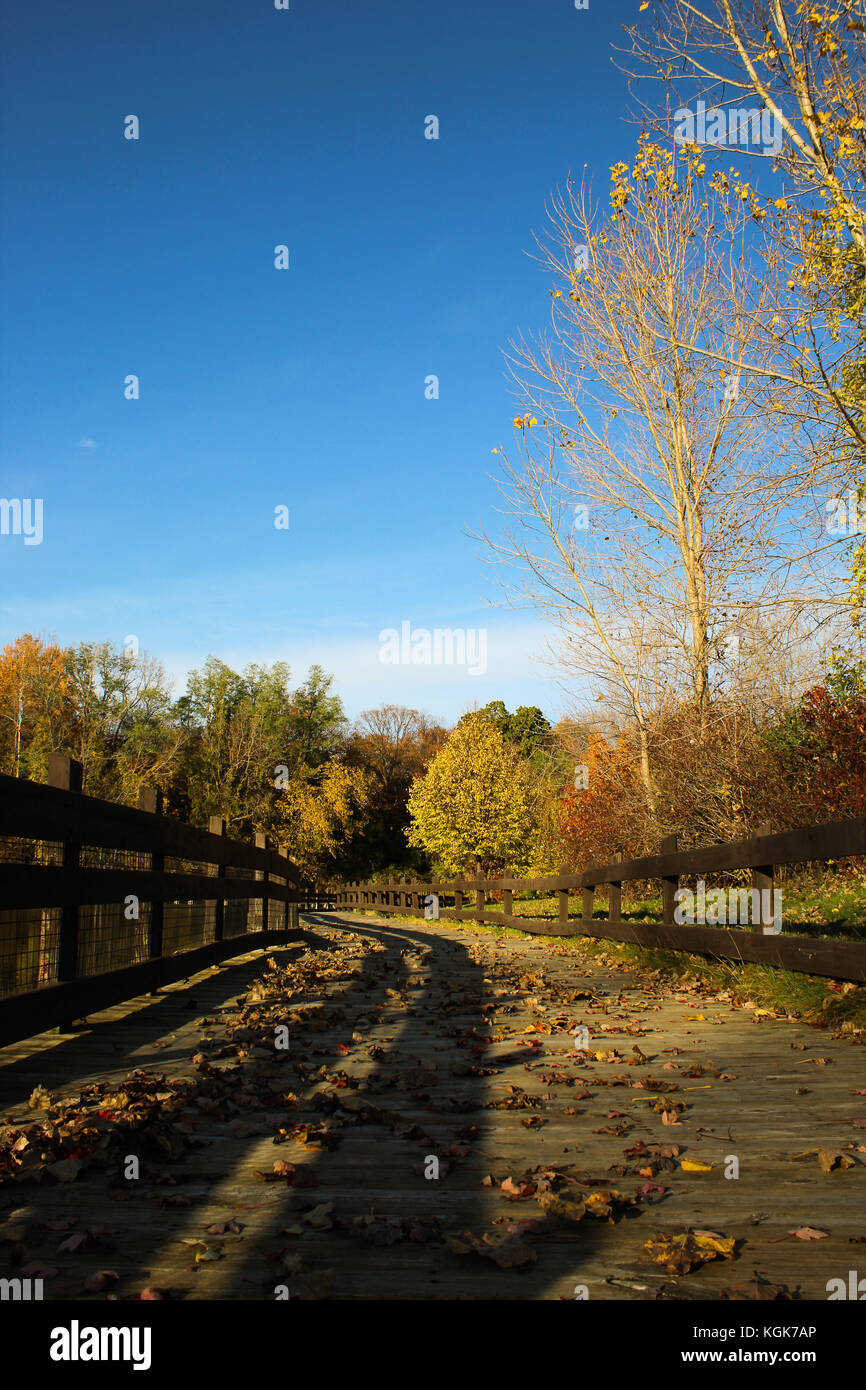 A bridge in a park with fall leaves in Michigan in October or November ...
