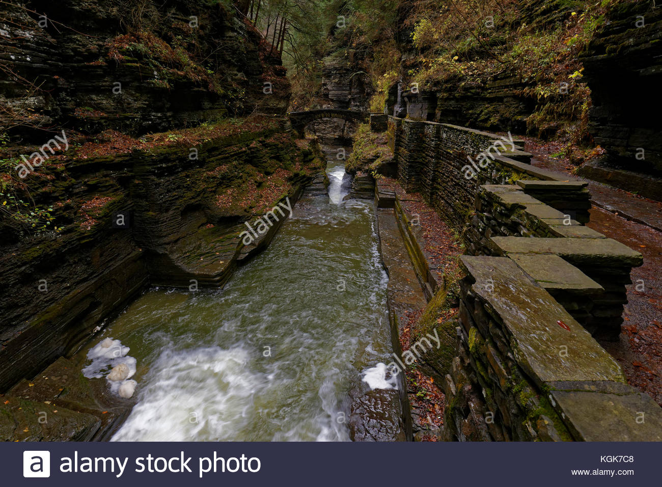Enfield Park High Resolution Stock Photography and Images - Alamy