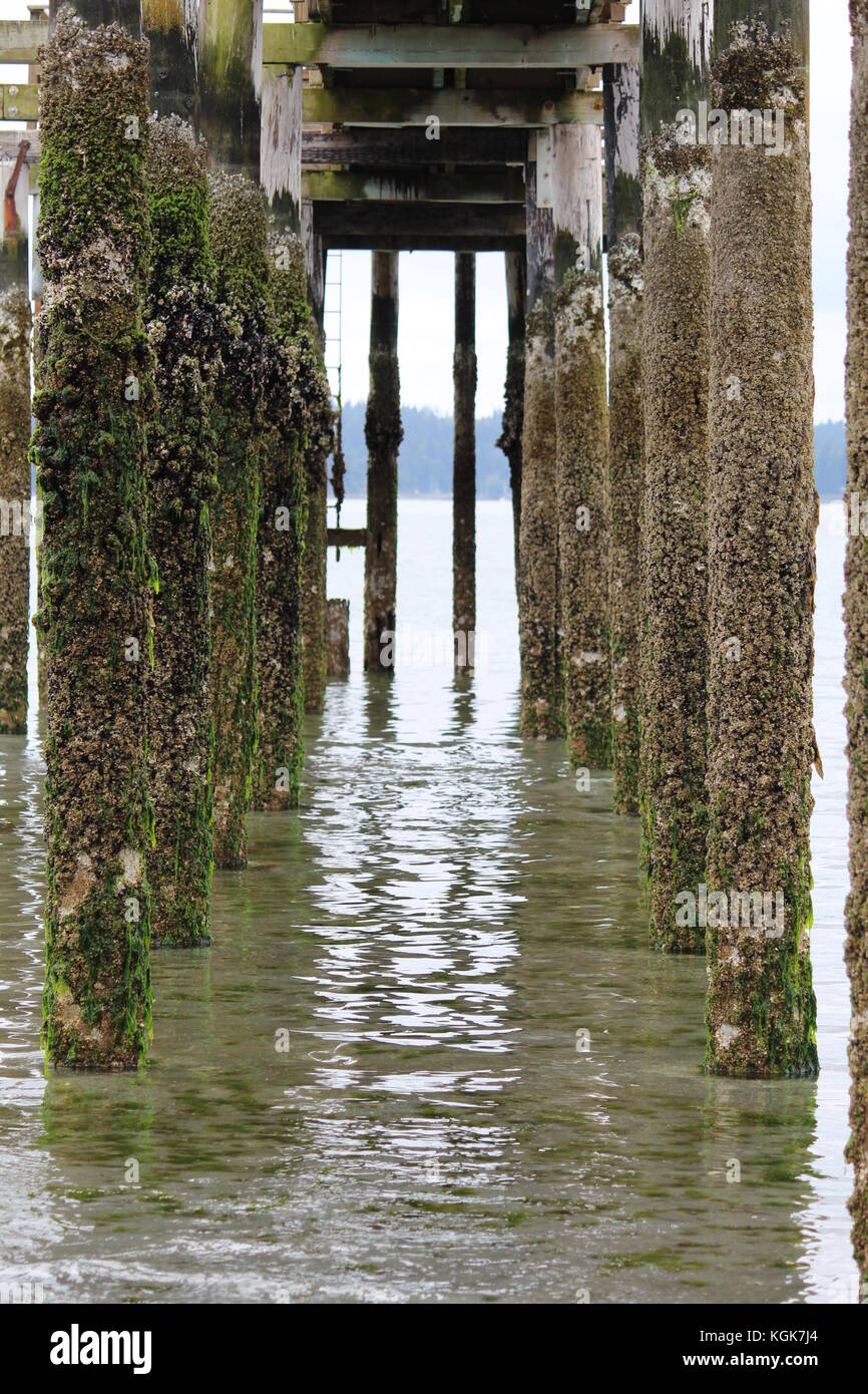 Docks and piers hi-res stock photography and images - Alamy