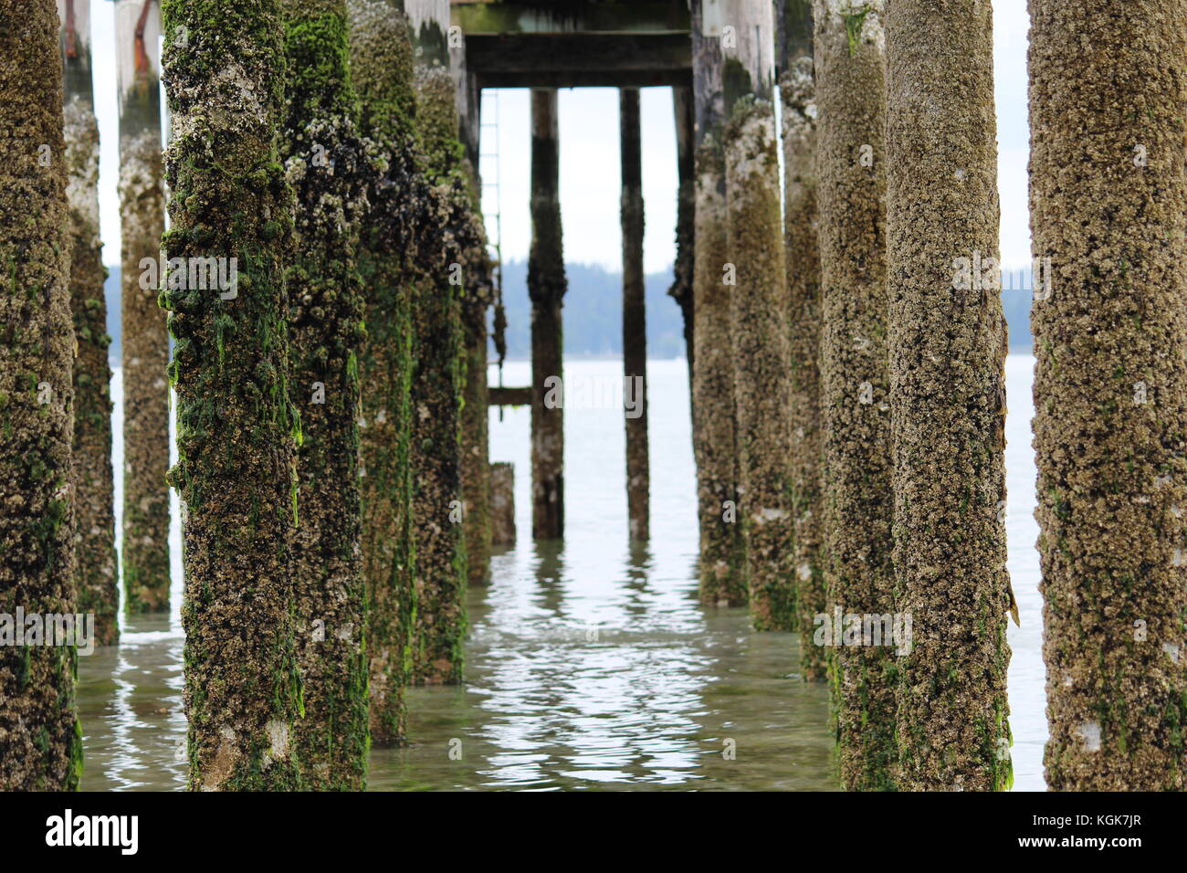 Rock piers hi-res stock photography and images - Alamy