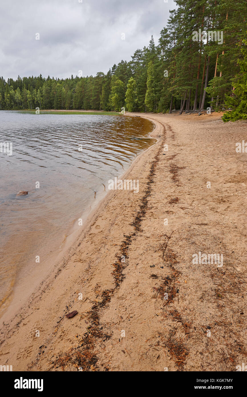 Finland sand beach and forest in Helvetinjarvi national park. Nature ...