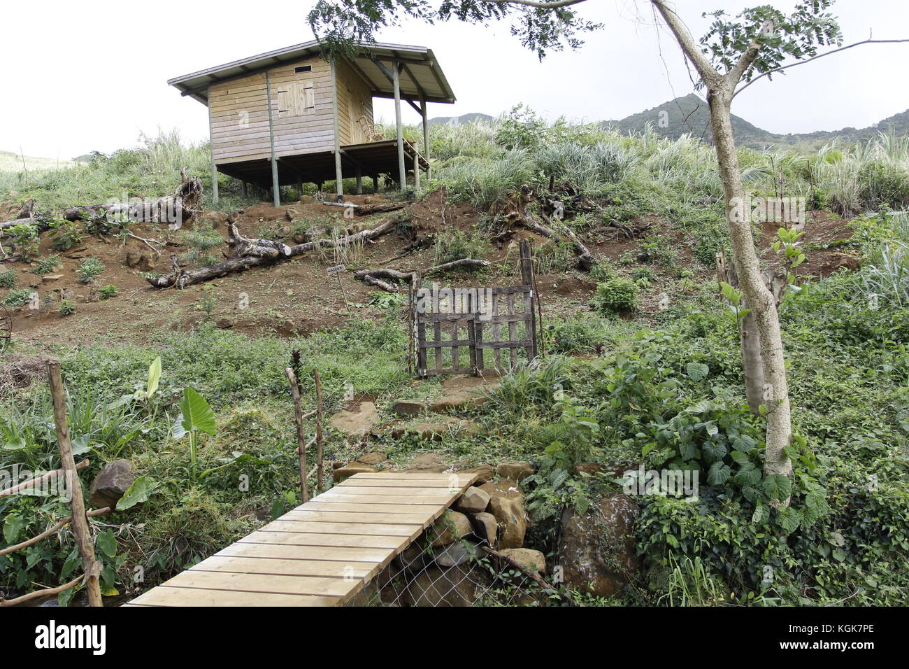 LAFERM COCO À BAMBOUS VIRIEUX Stock Photo - Alamy