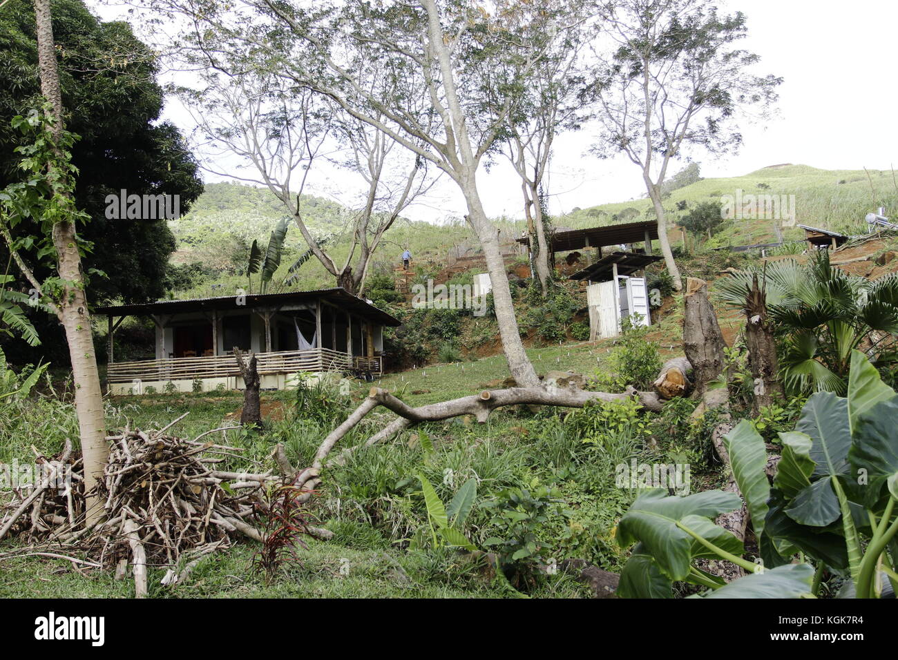 LAFERM COCO À BAMBOUS VIRIEUX Stock Photo - Alamy