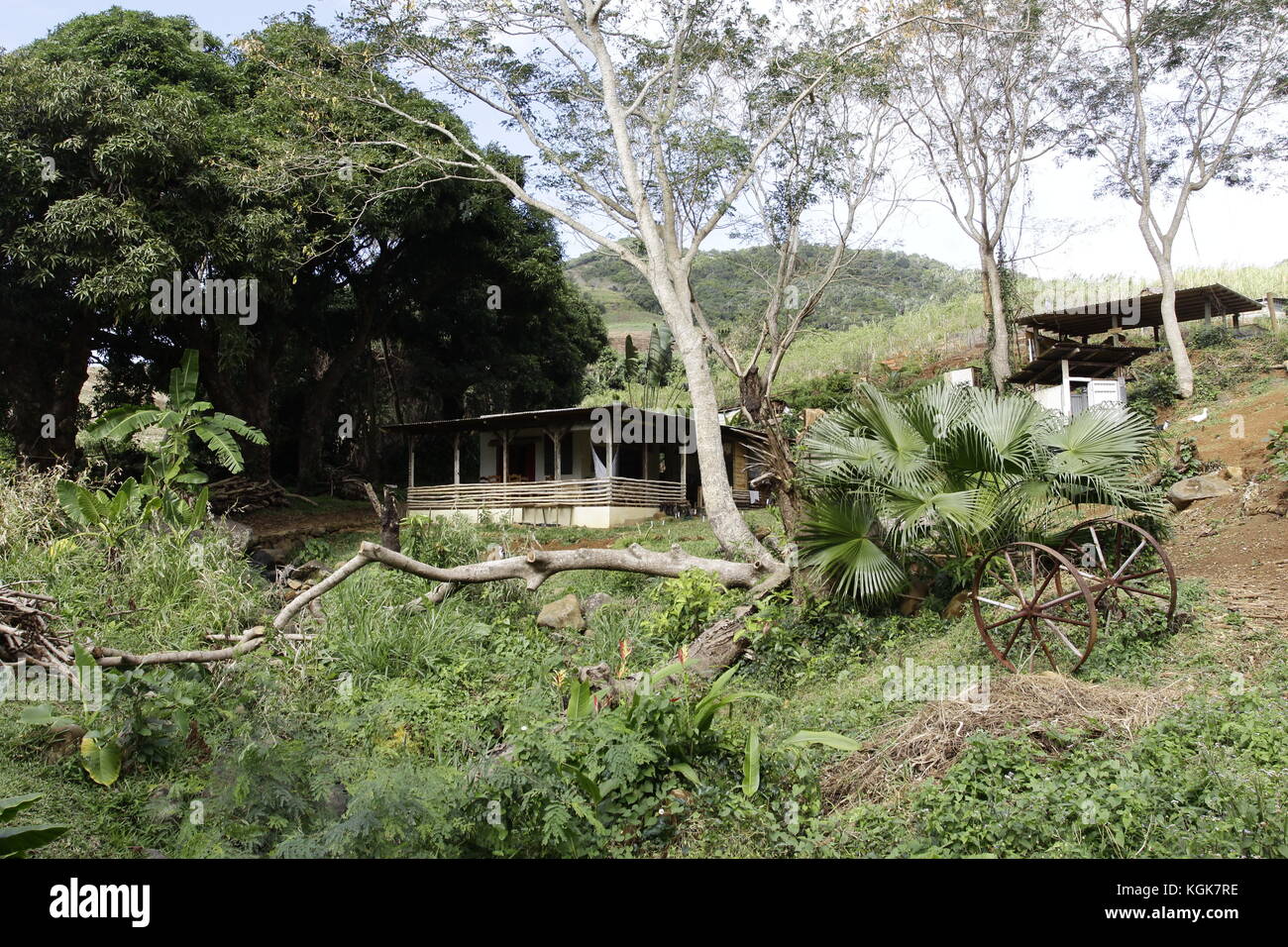 LAFERM COCO À BAMBOUS VIRIEUX Stock Photo - Alamy