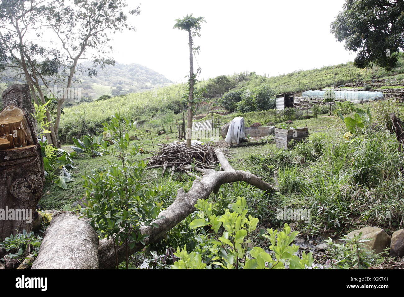 LAFERM COCO À BAMBOUS VIRIEUX Stock Photo - Alamy