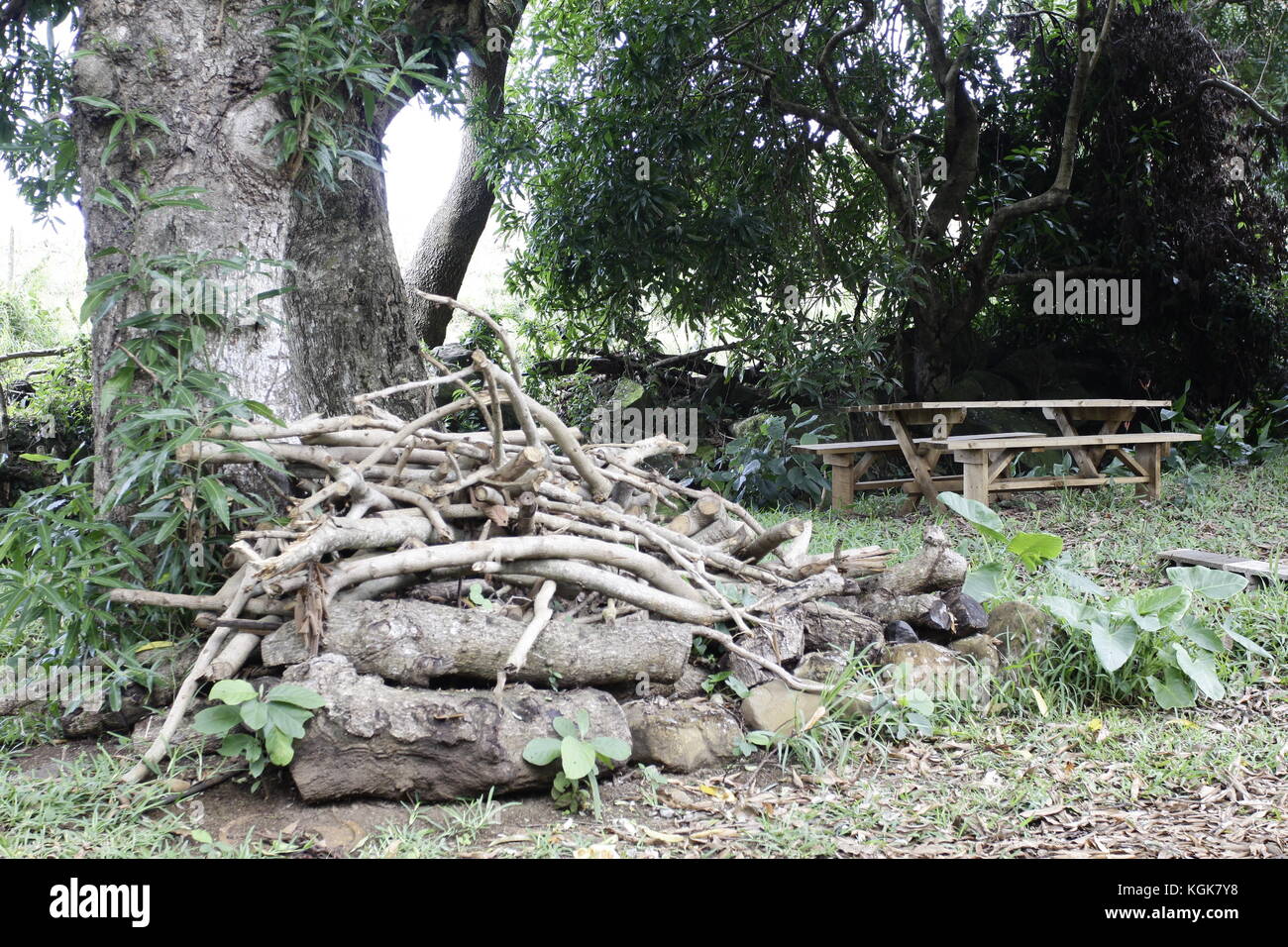 LAFERM COCO À BAMBOUS VIRIEUX Stock Photo - Alamy