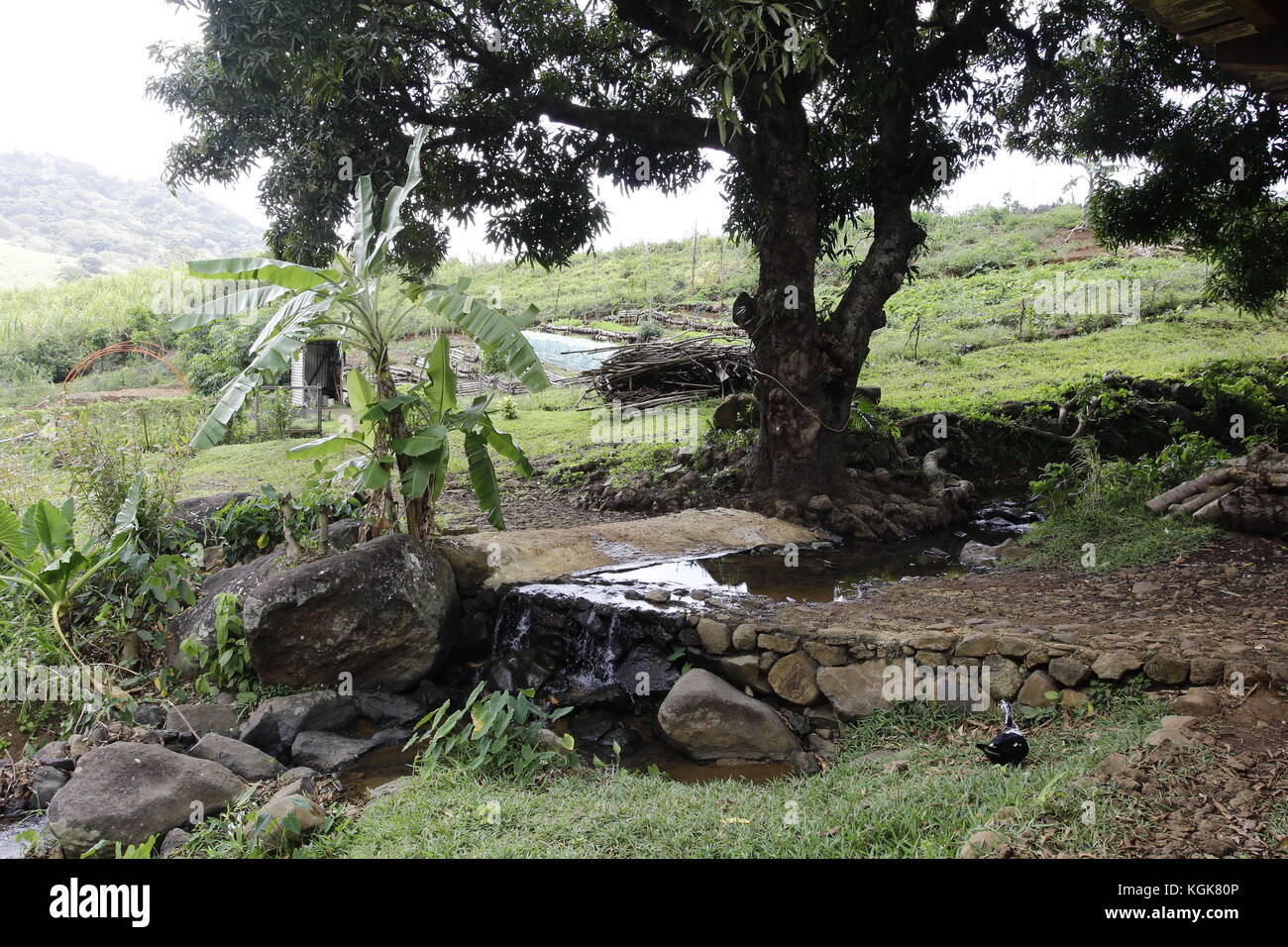 LAFERM COCO À BAMBOUS VIRIEUX Stock Photo - Alamy