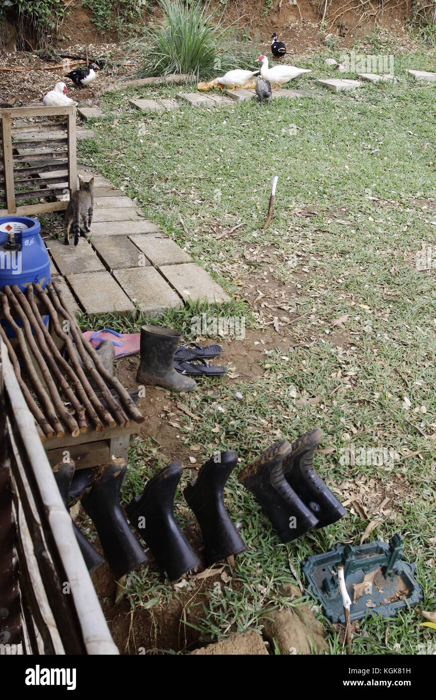 LAFERM COCO À BAMBOUS VIRIEUX Stock Photo - Alamy