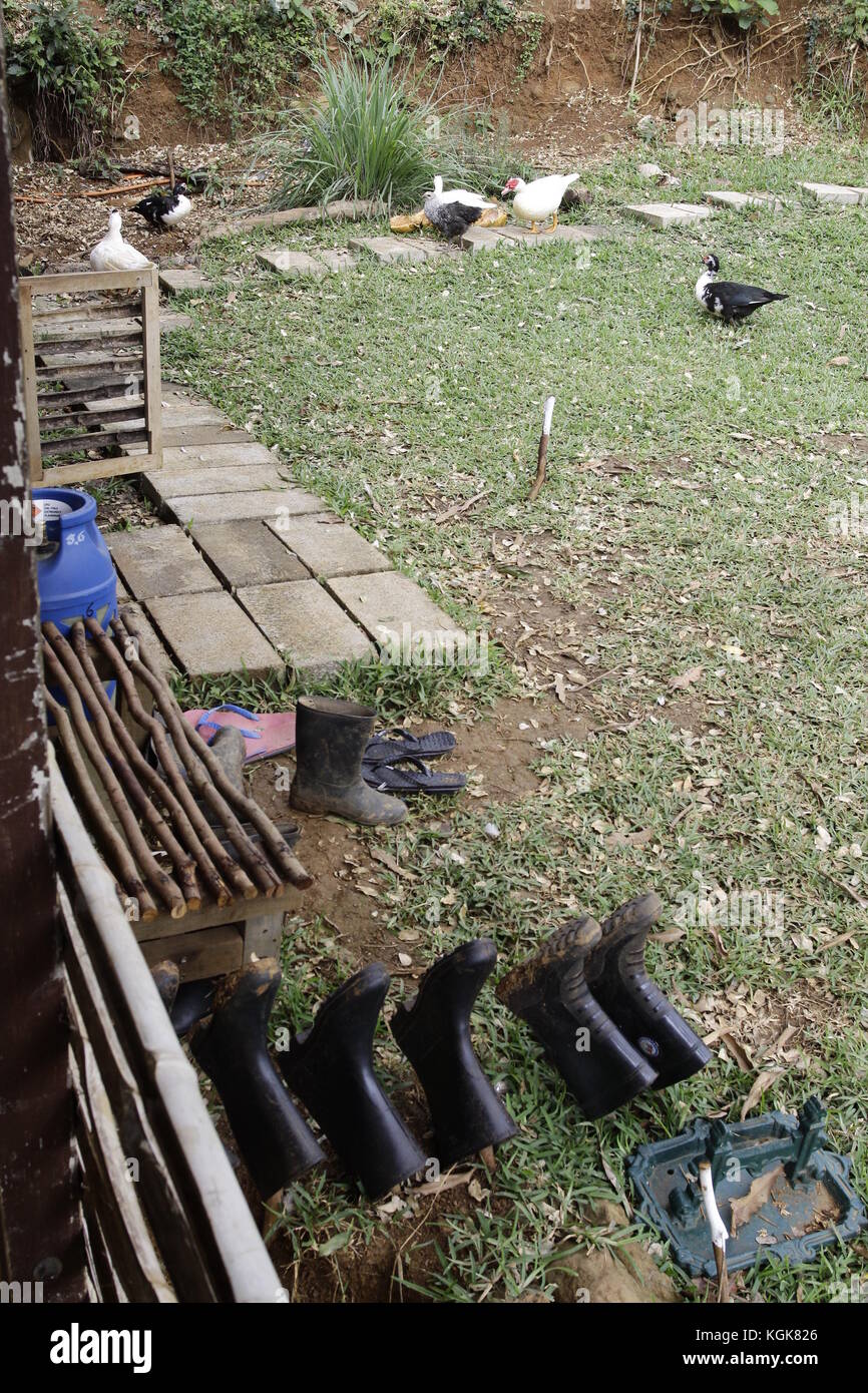 LAFERM COCO À BAMBOUS VIRIEUX Stock Photo - Alamy